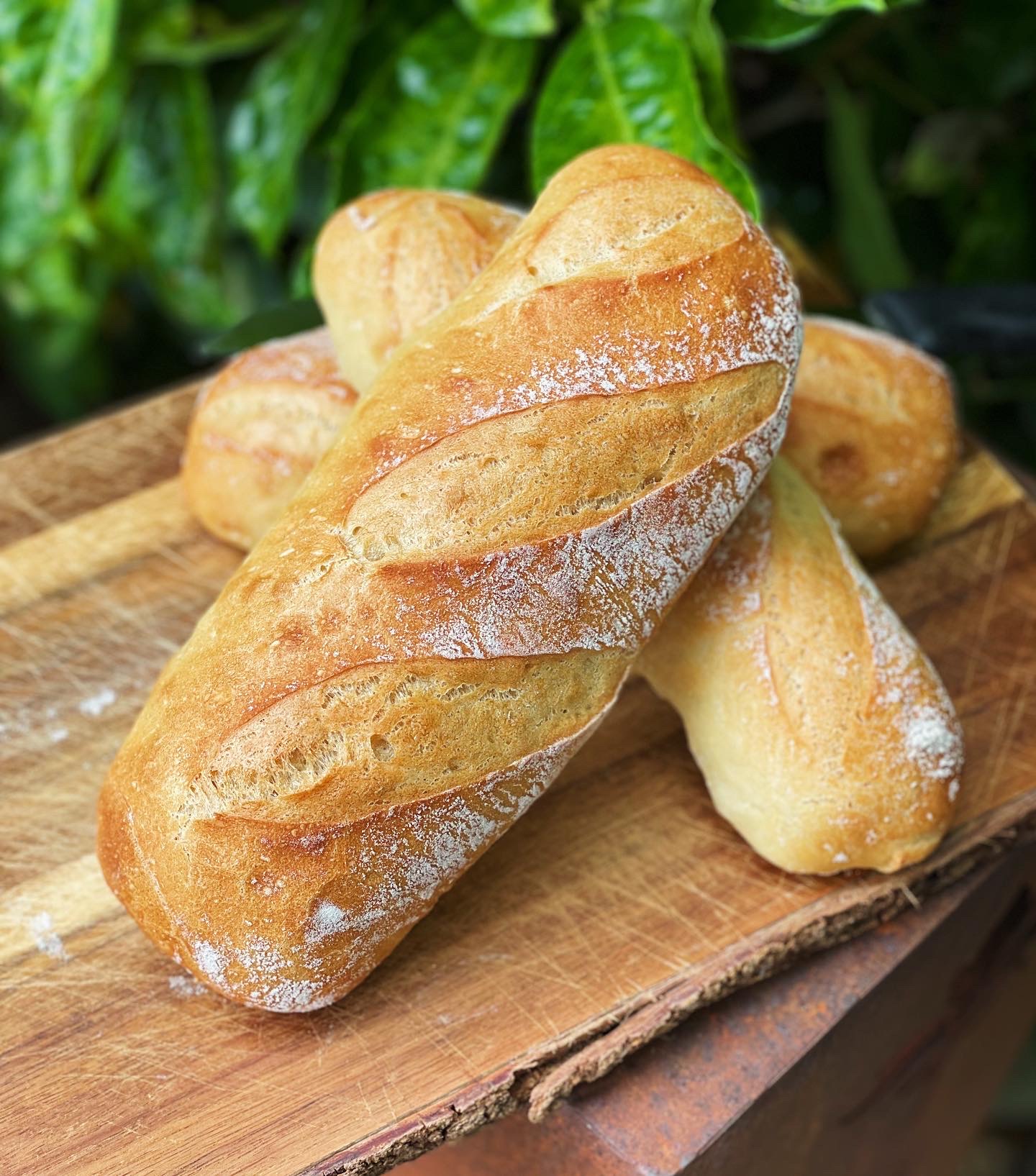 Filou: Mein Mini-Baguette Speedelicious