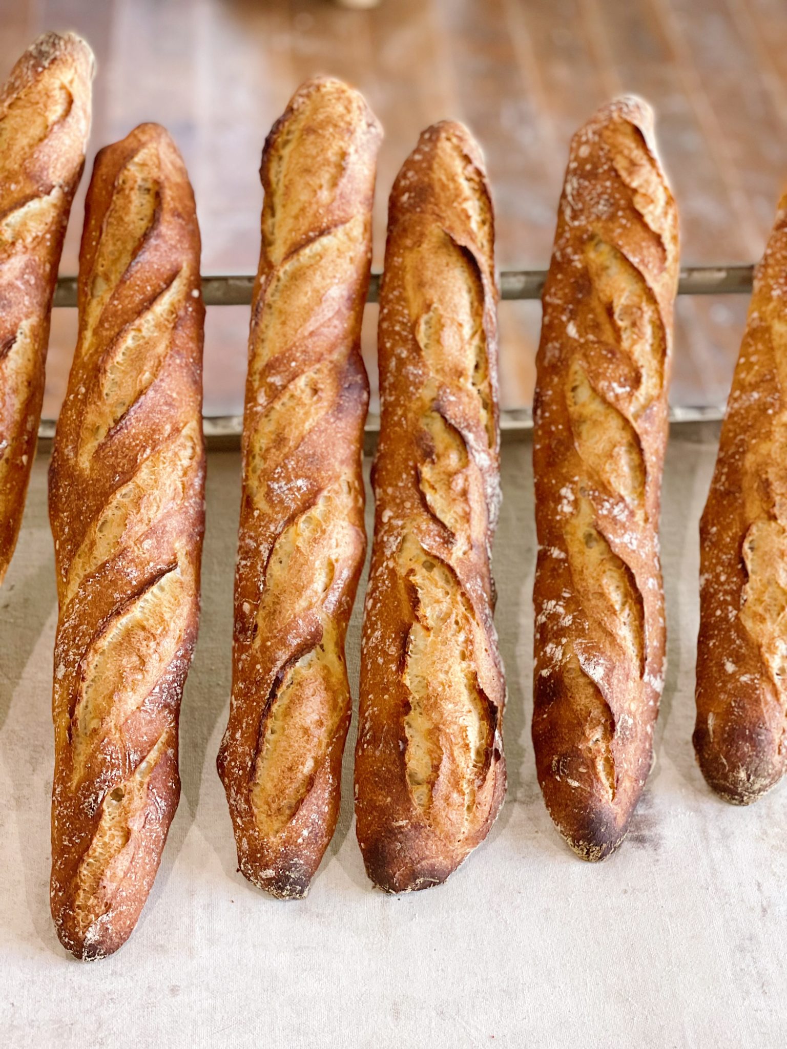 Baguettes rustiques / Rustikale Baguettes zum Grillen oder für ...